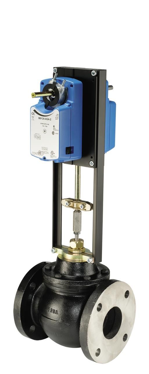 Johnson Controls VG2231VM2924GGC | Globe Valves | EnergyControl.com