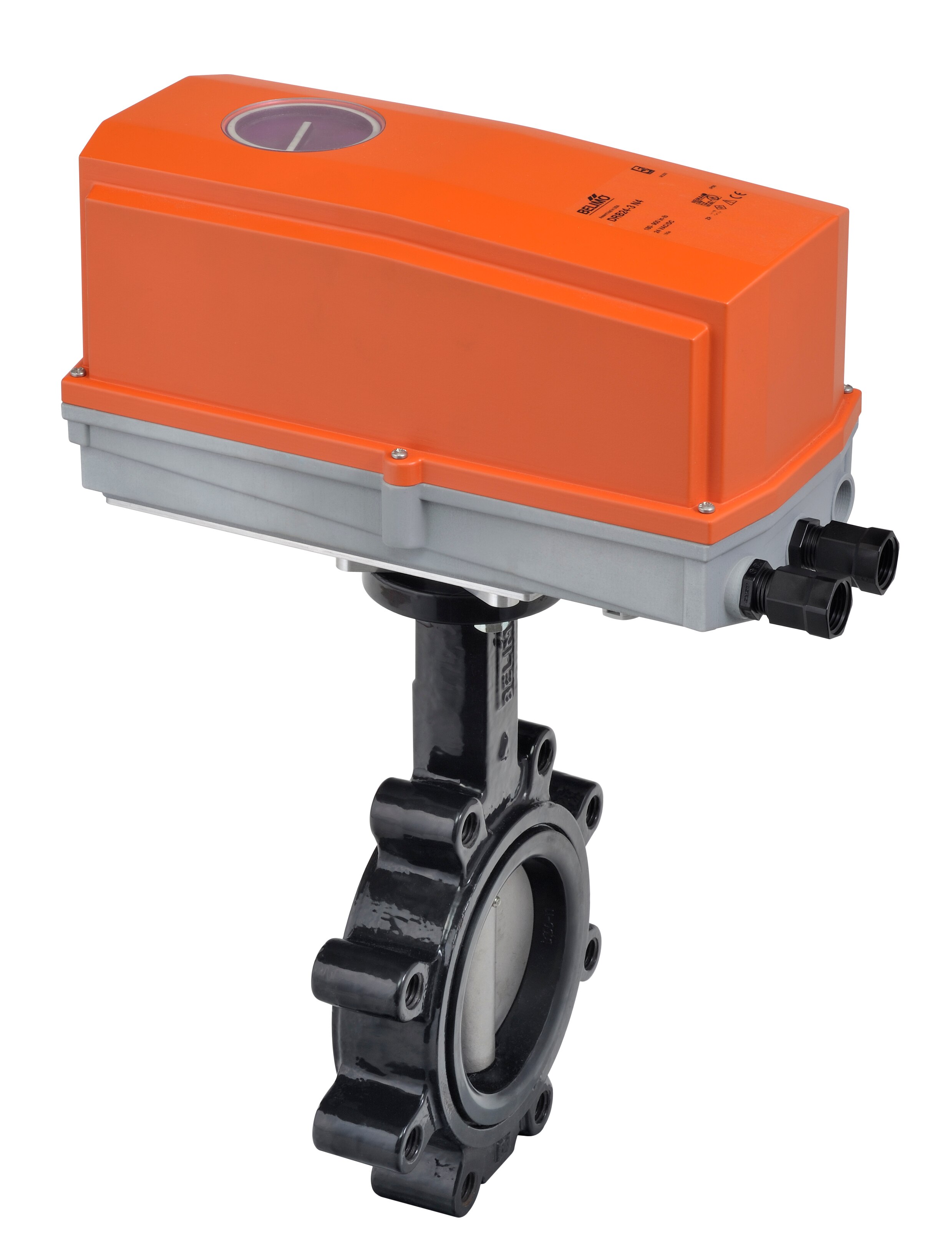 Belimo F6100HD+DKRX24-MFT-T N4 | Butterfly Valves | EnergyControl.com